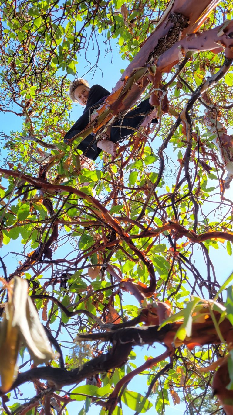 About Caffyn - Ecstatic Belonging